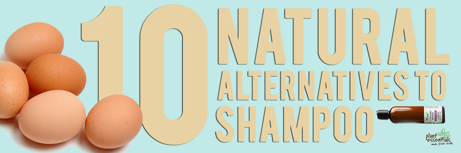 10 Natural Alternatives to Shampoo – Plant Essentials
