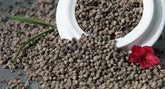 The Many Health Benefits Of Chaste Tree Berry For Women – Plant Essentials